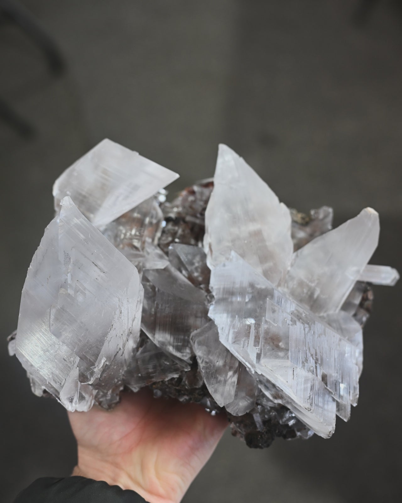 Massive Naica Selenite Cluster – CRYSTALS.COM