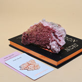 Pink Halite Crystal – CRYSTALS.COM