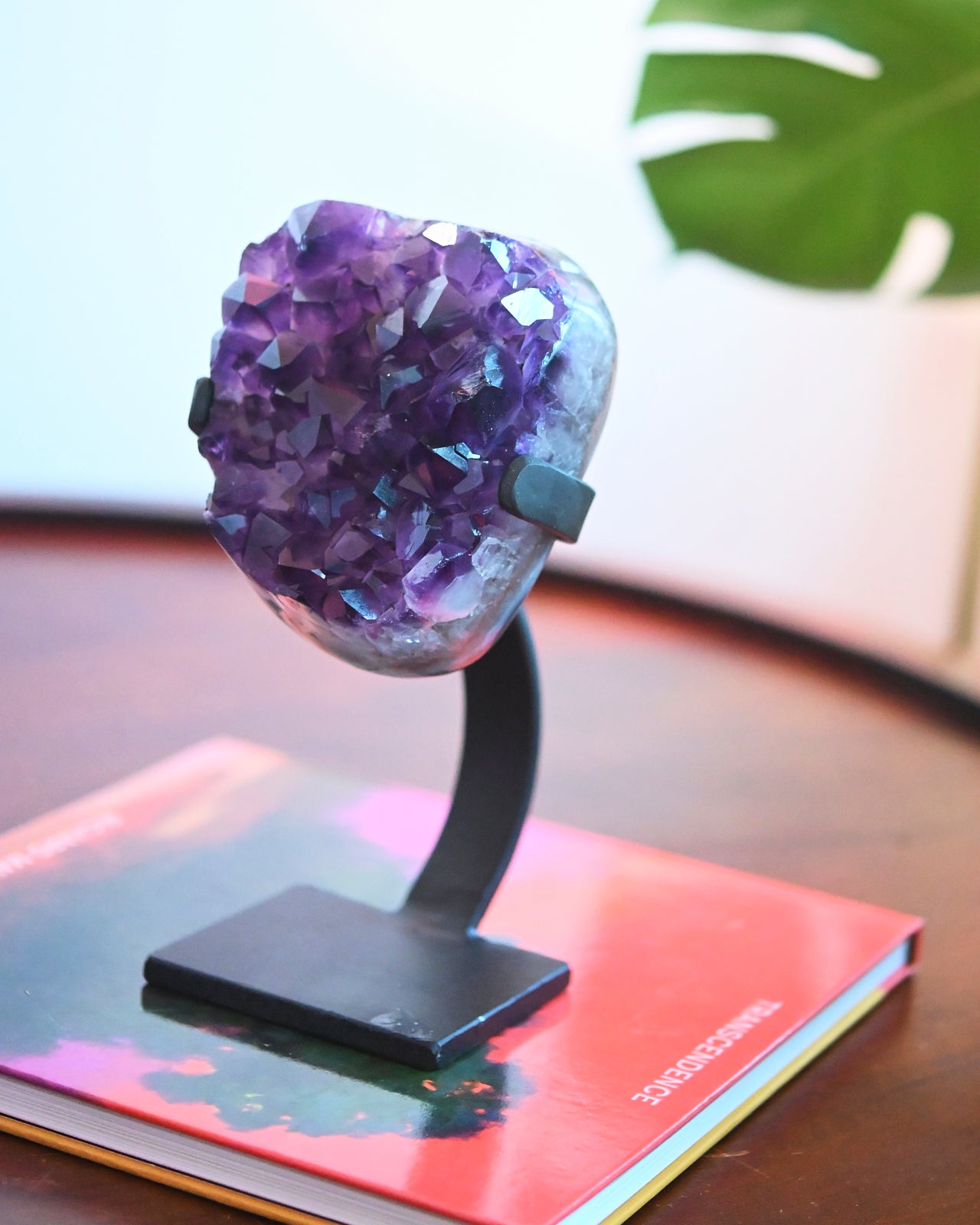 Amethyst Crystal Geode on custom stand - Fast Shipping – CRYSTALS.COM