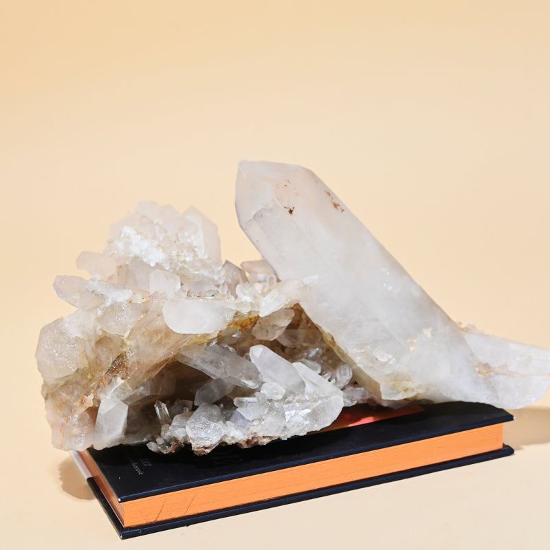 New in Stock – Page 7 – CRYSTALS.COM